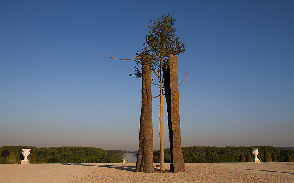 Giuseppe Penone - Interview - Plasticiens, Sculpture - Art Interview